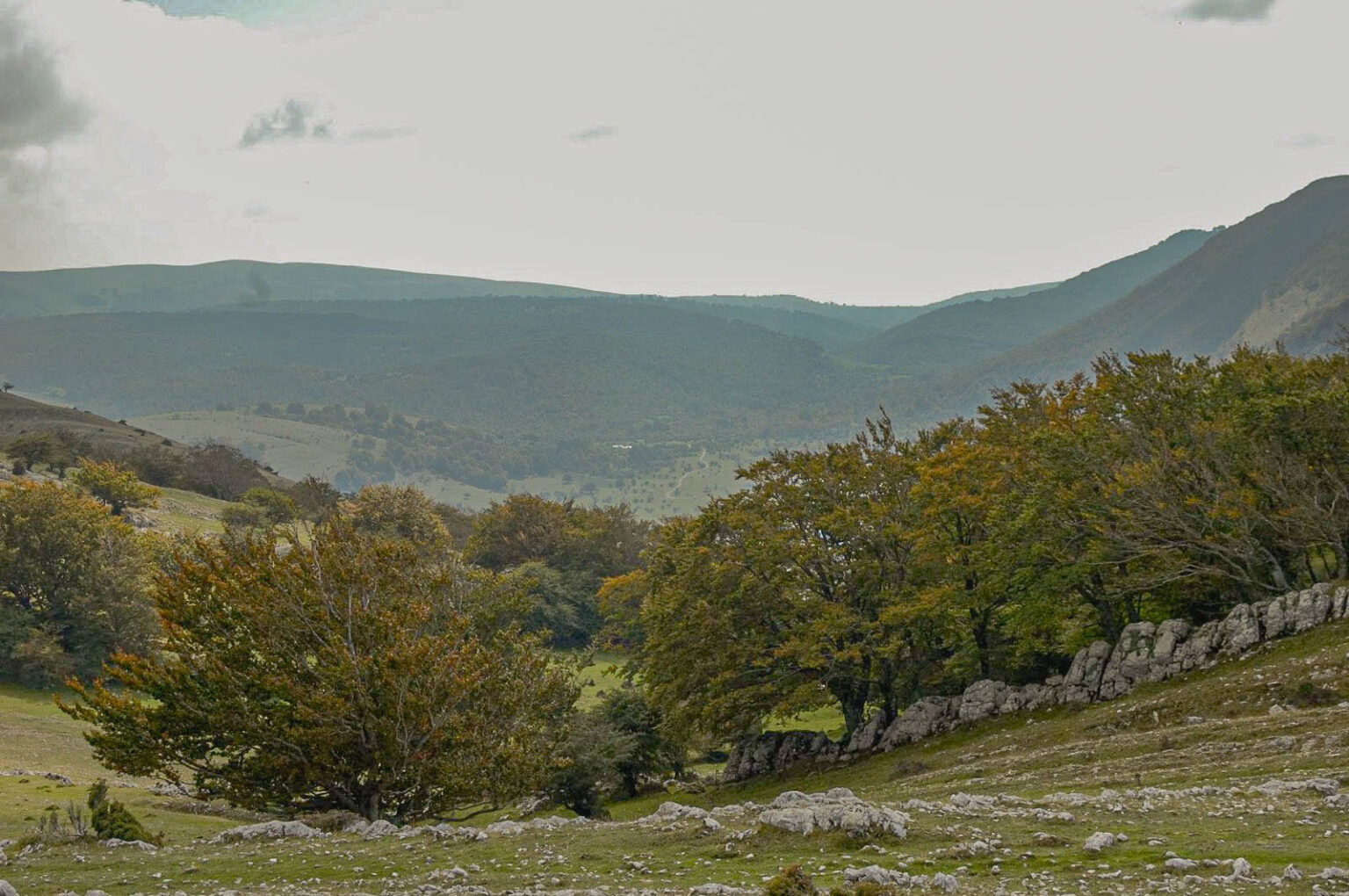 Natuurpark Urbasa-Andía: ontdek dit prachtig natuurgebied - Discover ...