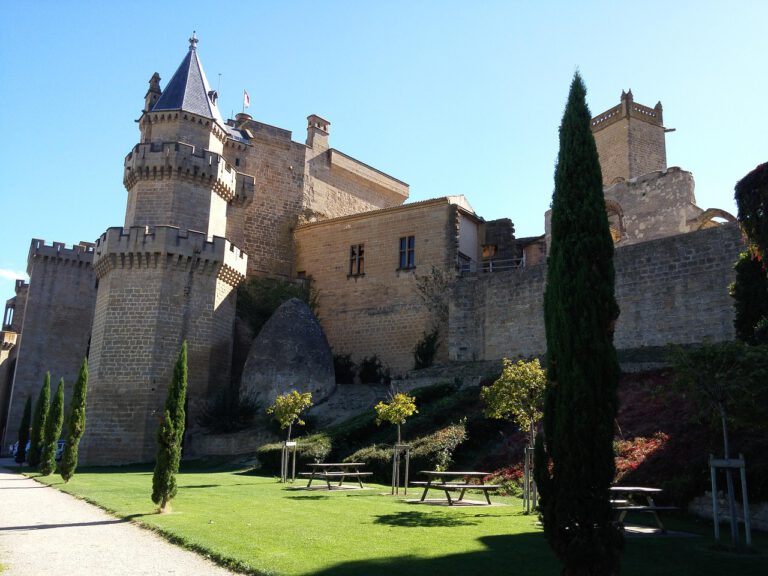 Olite (Navarra): Wijnhoofdstad met Koninklijk Paleis - Discover Navarra